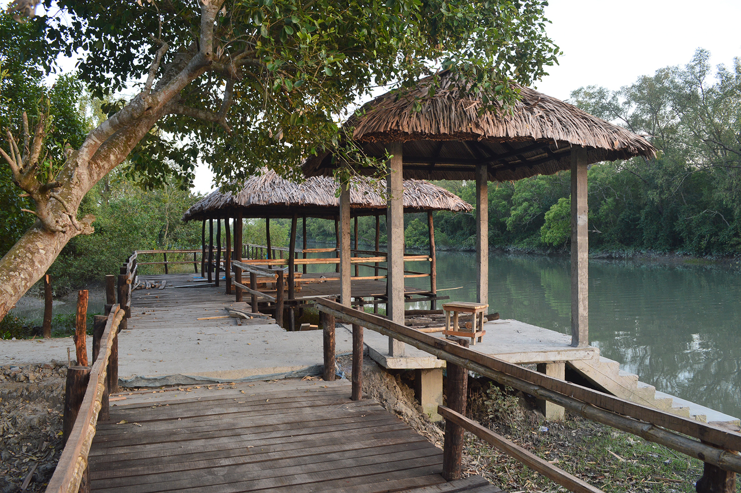 Mangrove Haven Resort - Best Resort in Sundarban